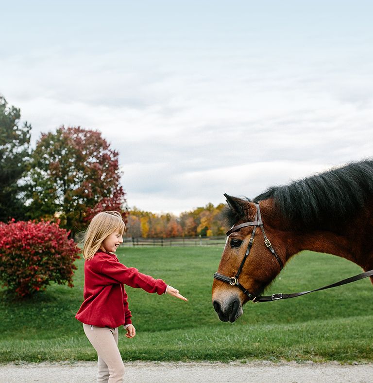 Home - Fieldstone Farm Therapeutic Riding Center