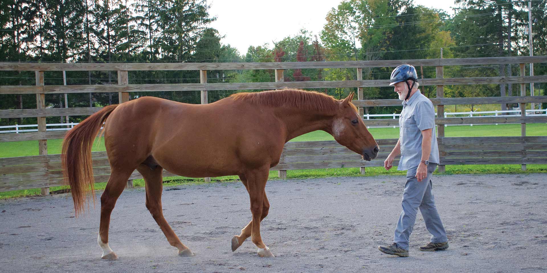 Adults - Fieldstone Farm Therapeutic Riding Center