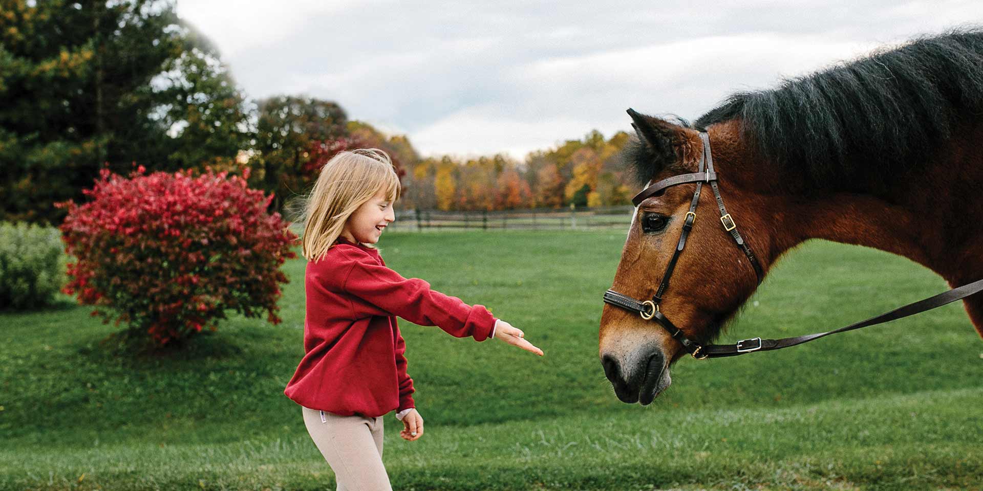 Home - Fieldstone Farm Therapeutic Riding Center