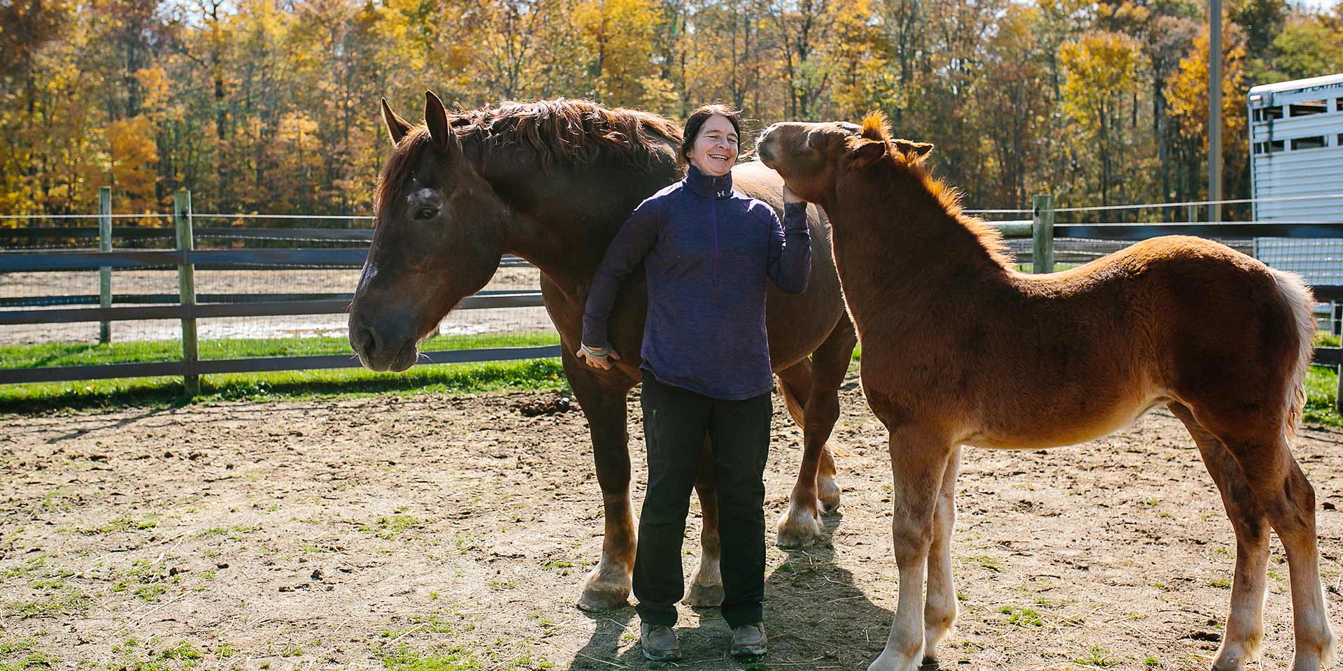 Educational Workshops - Fieldstone Farm Therapeutic Riding Center