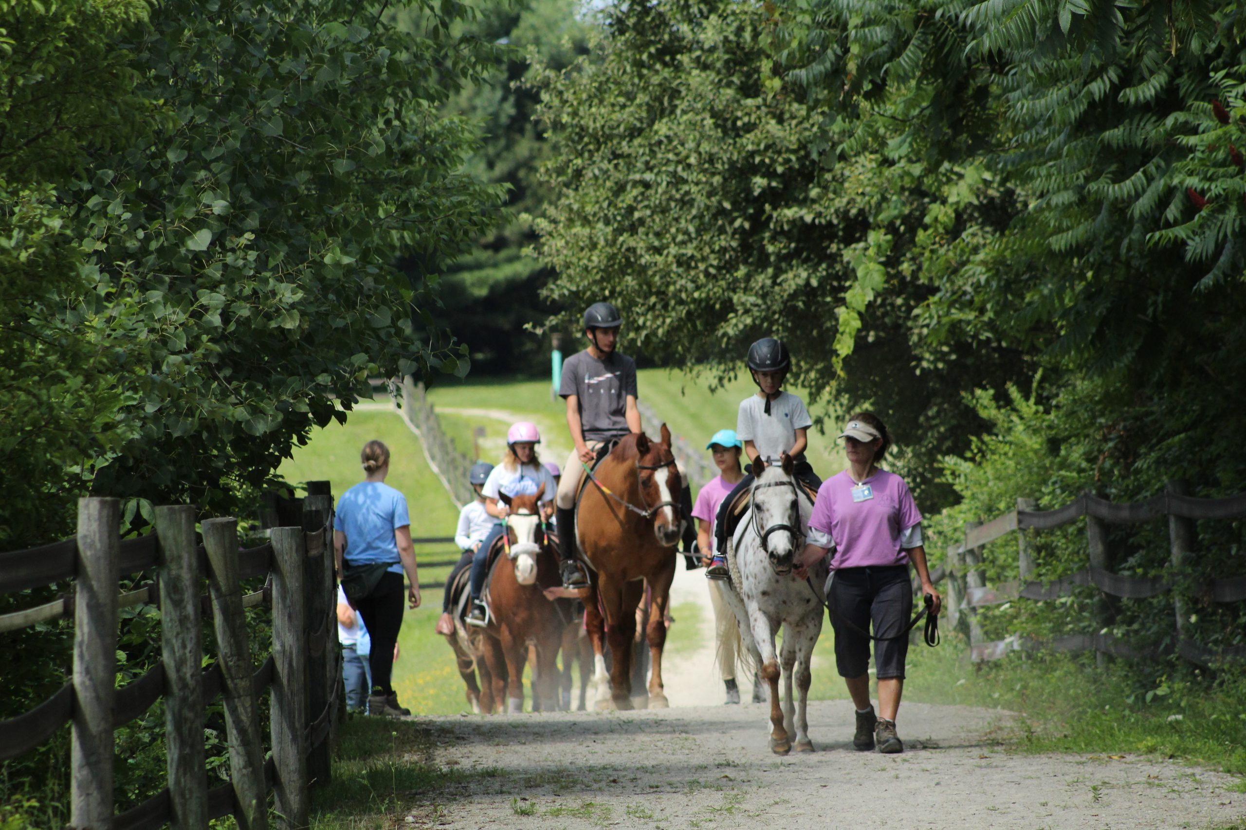 Charlie's confidence grows - Fieldstone Farm Therapeutic Riding Center
