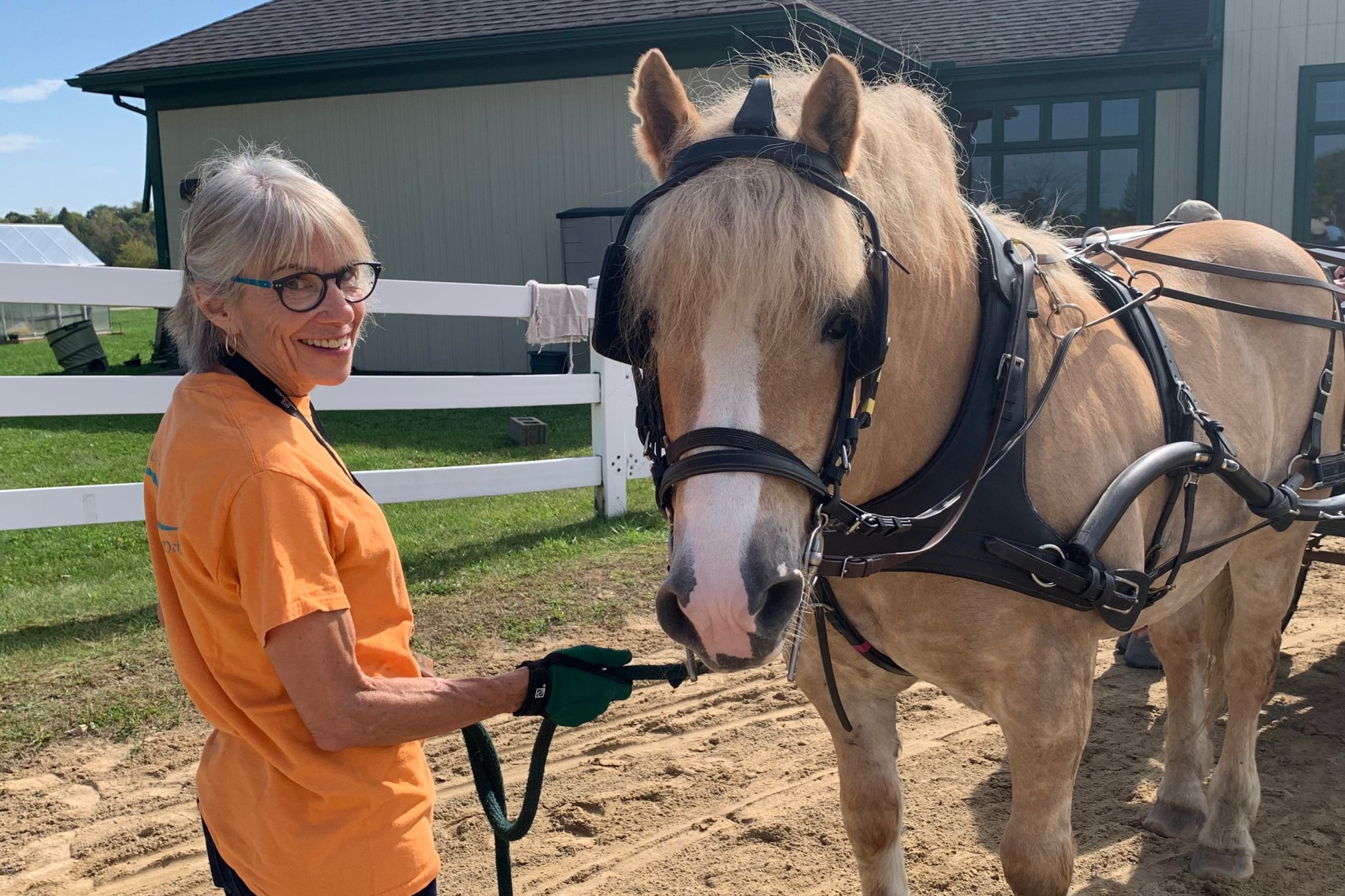 About - Fieldstone Farm Therapeutic Riding Center