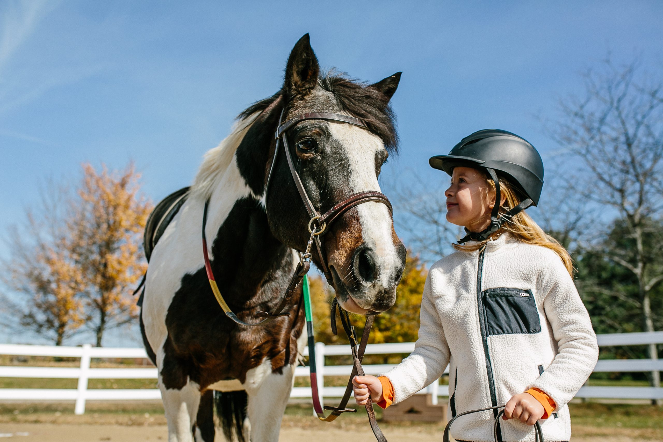 Read our latest Annual Report - Fieldstone Farm Therapeutic Riding Center