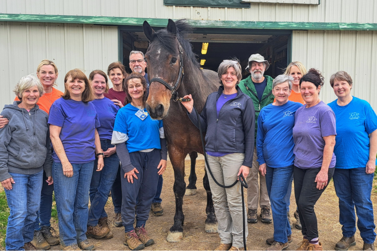 Volunteer Training - Fieldstone Farm Therapeutic Riding Center