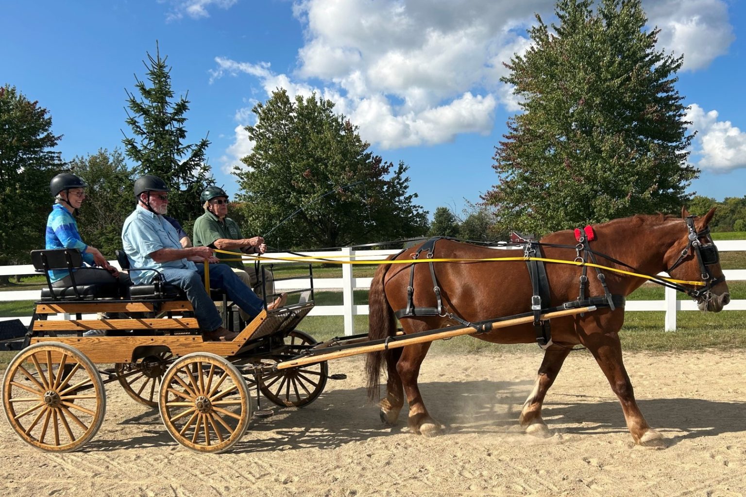 Board Members - Fieldstone Farm Therapeutic Riding Center